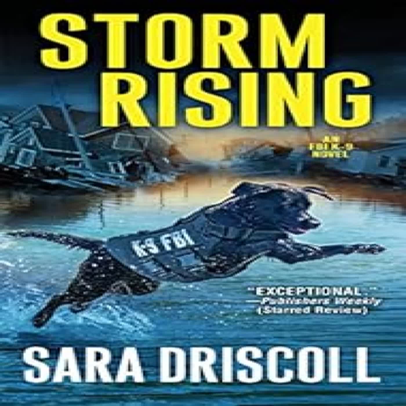FREE EPUB 🗂️ Storm Rising (An F.B.I. K-9 Novel Book 3) by Sara Driscoll ...